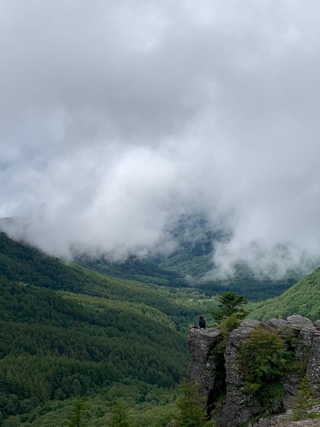 hachiのページ | YAMAP / ヤマップ