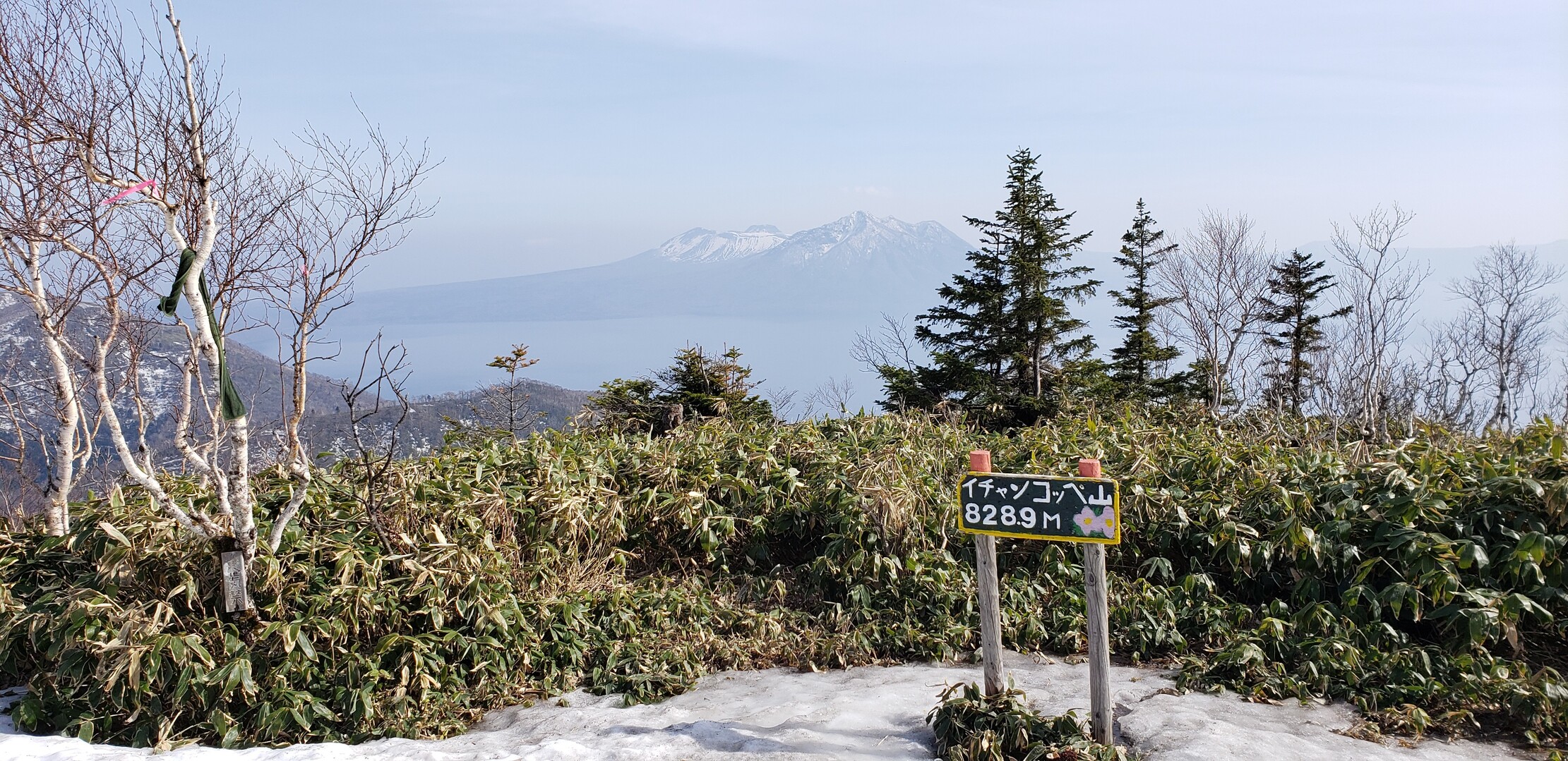 イチャンコッペ山-2020-05-02 / Mr.Masaさんのイチャンコッペ山の活動データ | YAMAP / ヤマップ