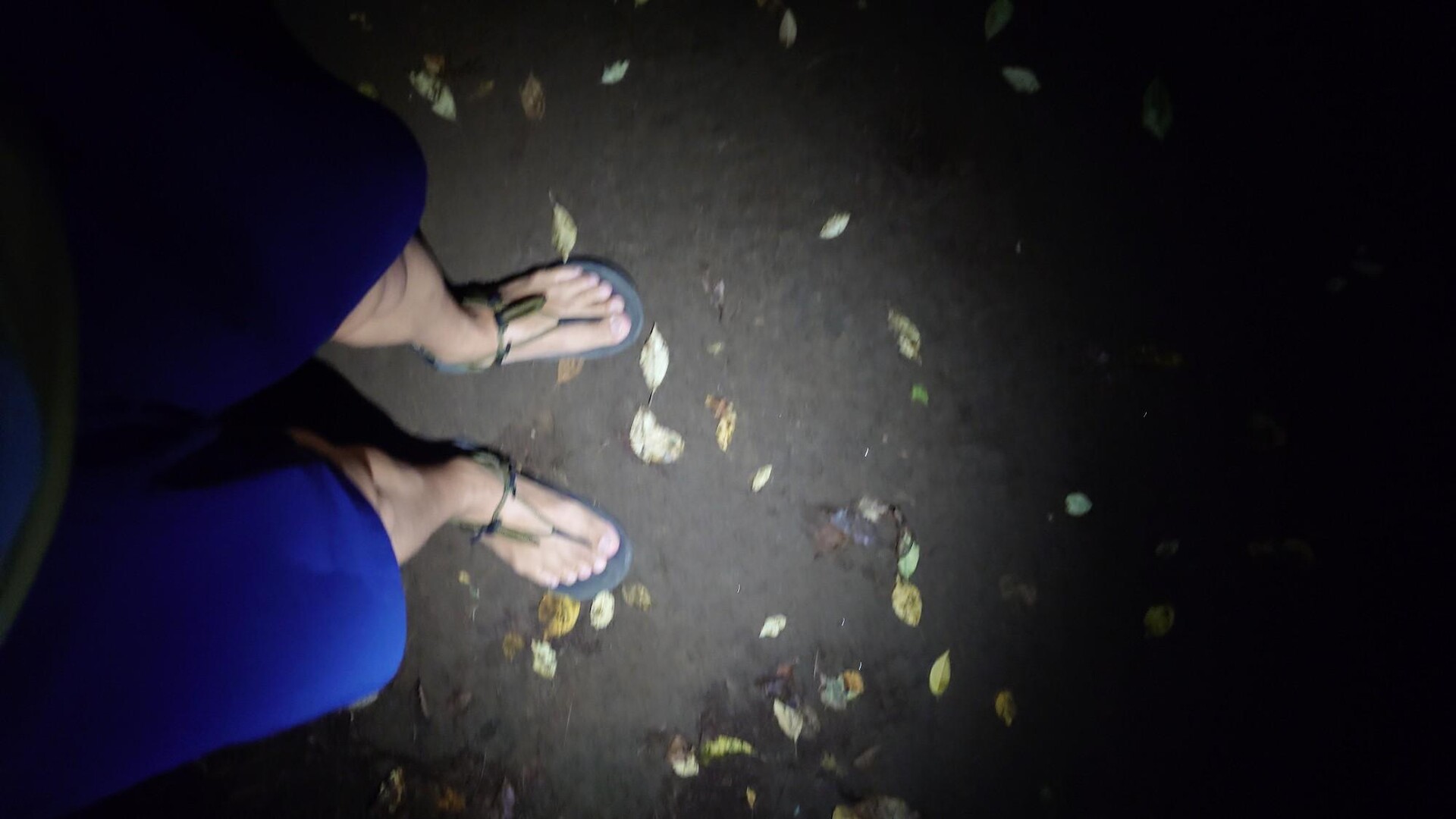 出動前の2本勝負 アヅマ294,5本目 / ta2さんの鳴神山・吾妻山の活動データ | YAMAP / ヤマップ