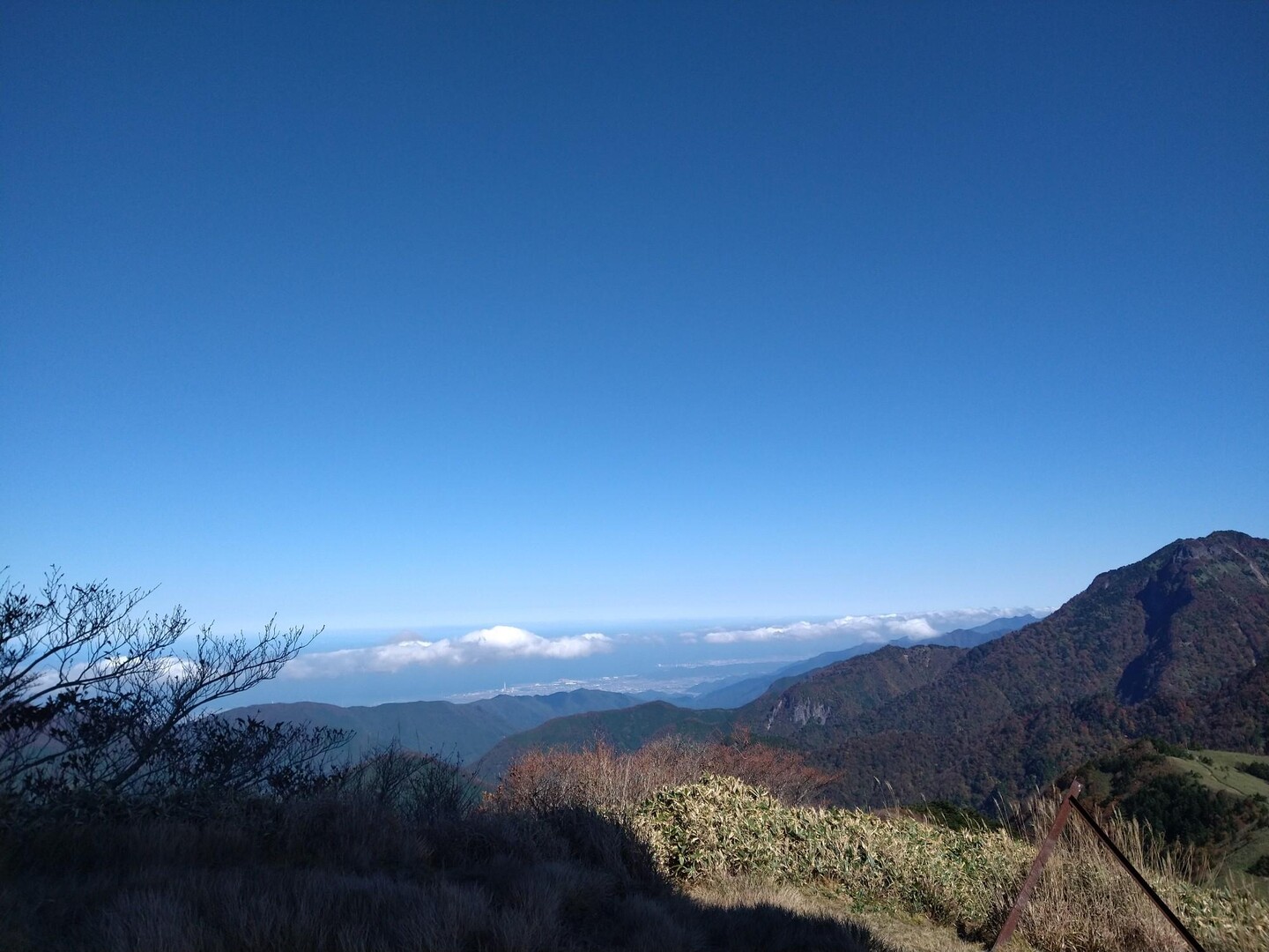 堂ヶ森 / 42insさんの石鎚山・堂ヶ森・二ノ森の活動データ | YAMAP / ヤマップ