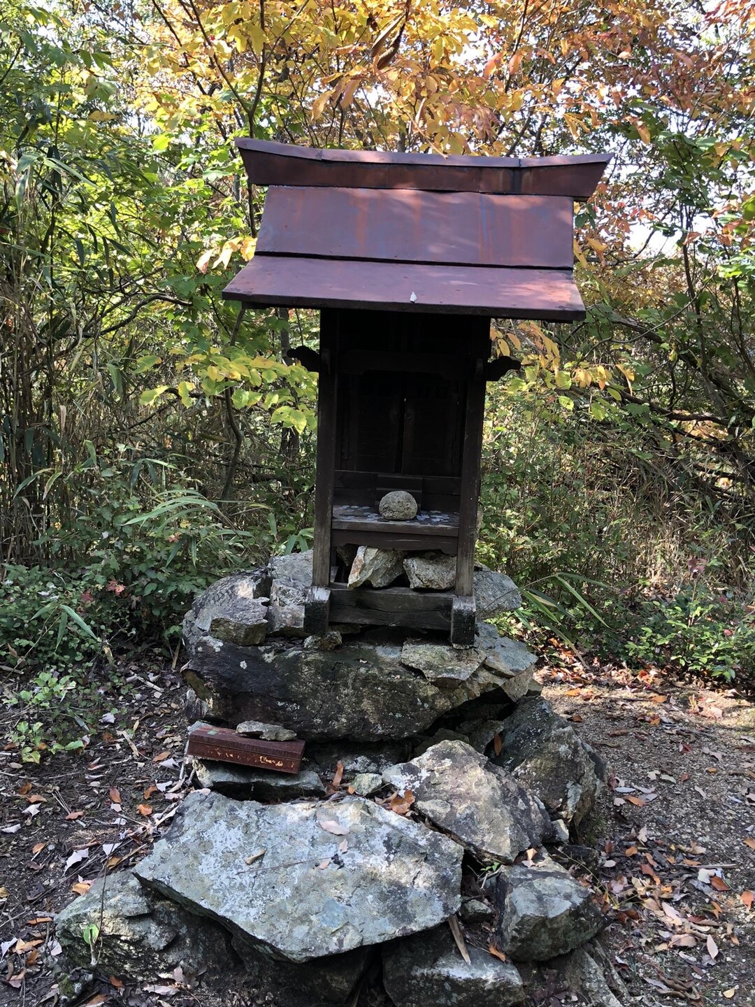 2022.11.09(水) 03:11 / borderless さんのモーメント | YAMAP / ヤマップ