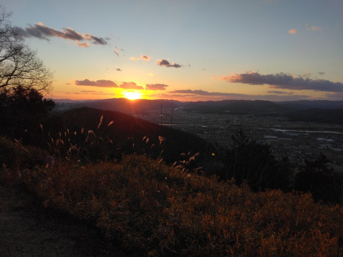 2025-1st🎍福山 / tamaかあさんさんの福山・江田山・高鳥居山の活動データ | YAMAP / ヤマップ
