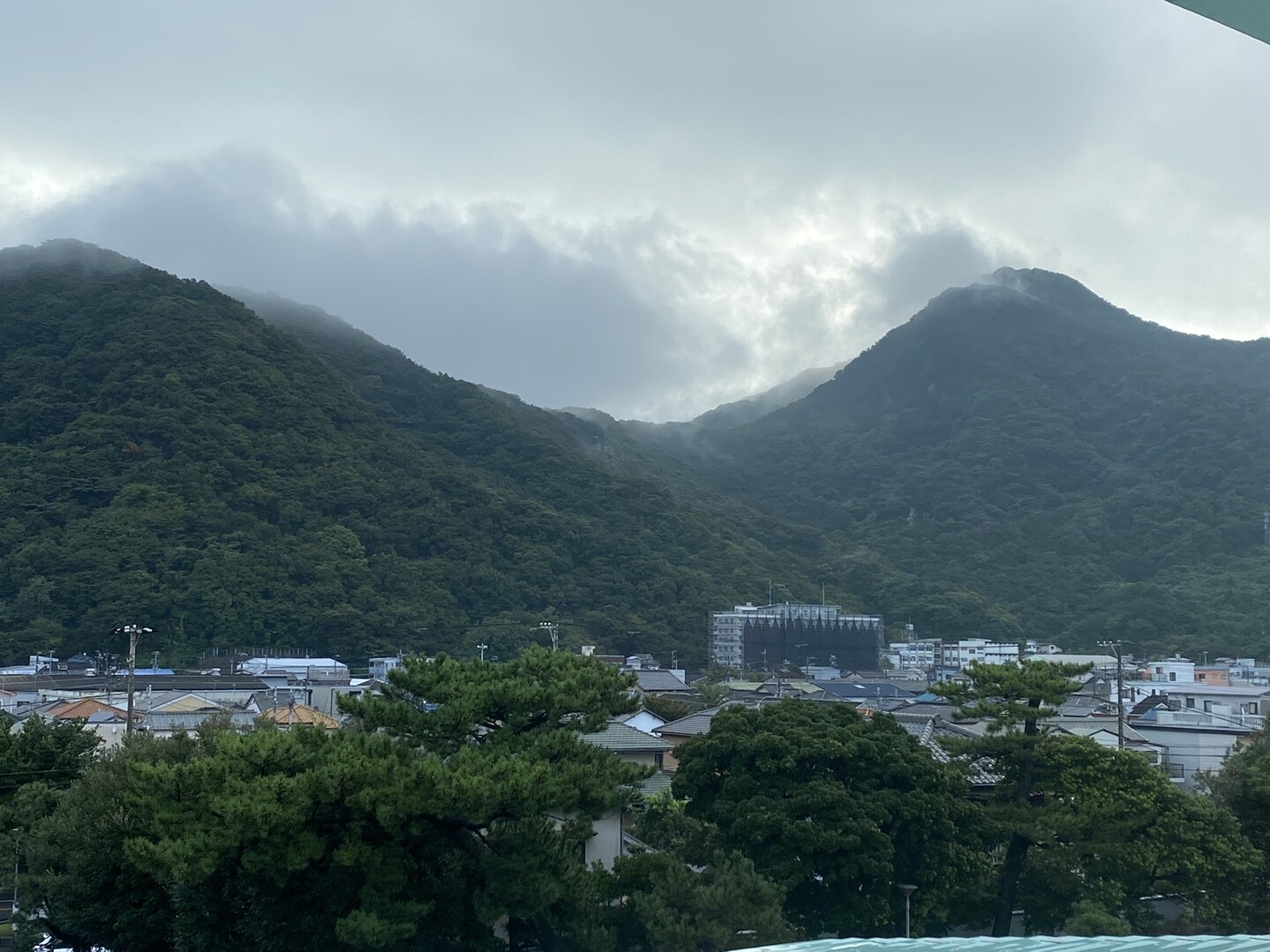 昨日、沼津市観光し金目鯛など海の幸を満喫... / TACK🥷さんのモーメント | YAMAP / ヤマップ