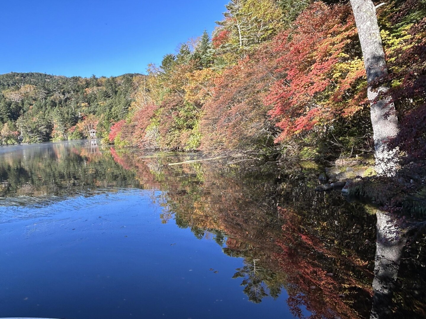 念願の紅葉の池と揚げパンリベンジ🥖☕️... / ayanonさんのモーメント | YAMAP / ヤマップ