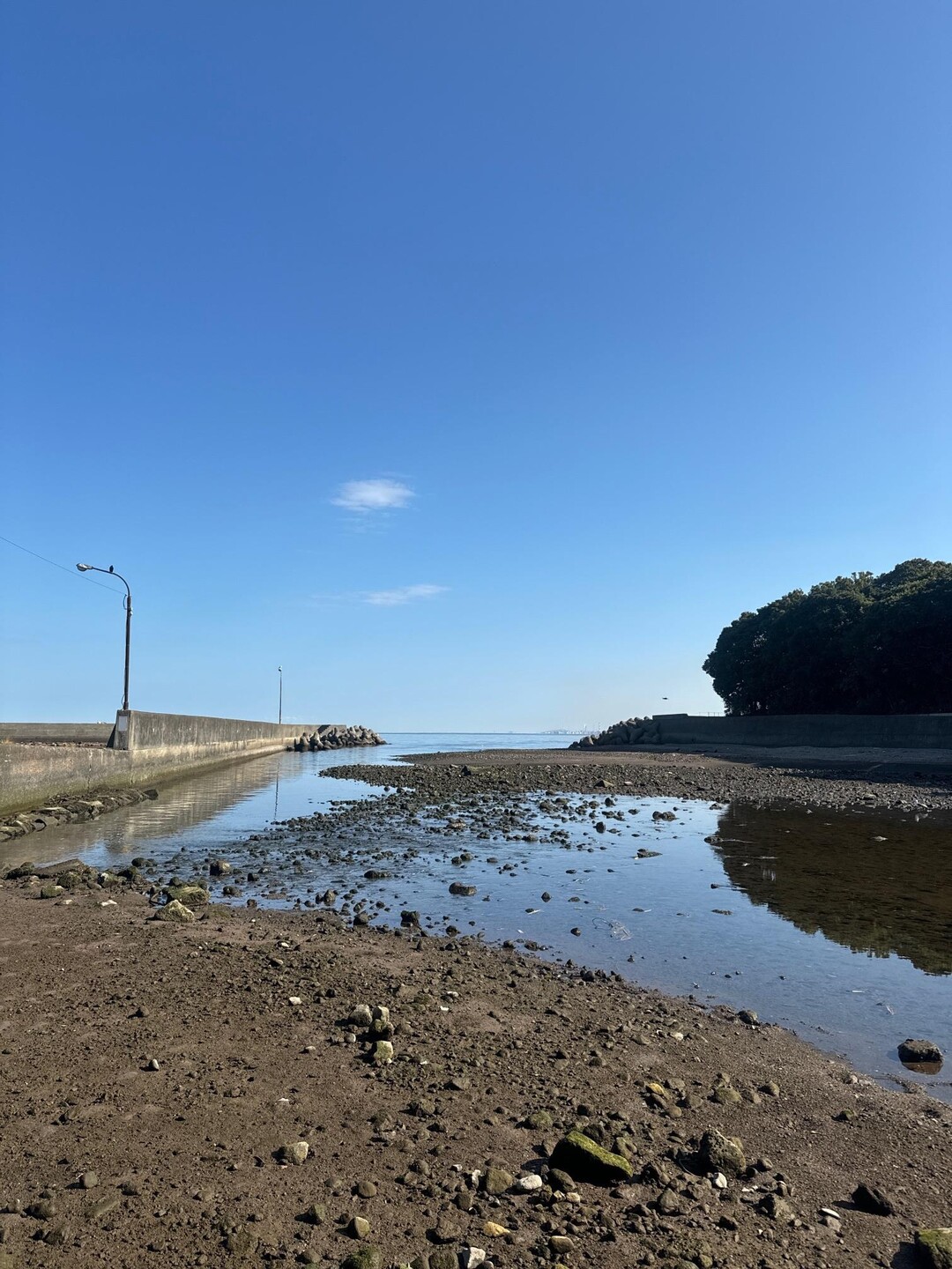 海抜0mから行ってみよう！ 扇山（大平山） / さんまのしっぽさんの由布岳・鶴見岳の活動データ | YAMAP / ヤマップ