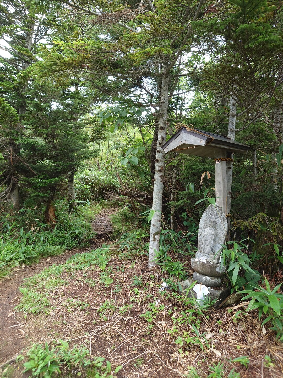 HiroNagさんの投稿したフィールドメモ | YAMAP / ヤマップ