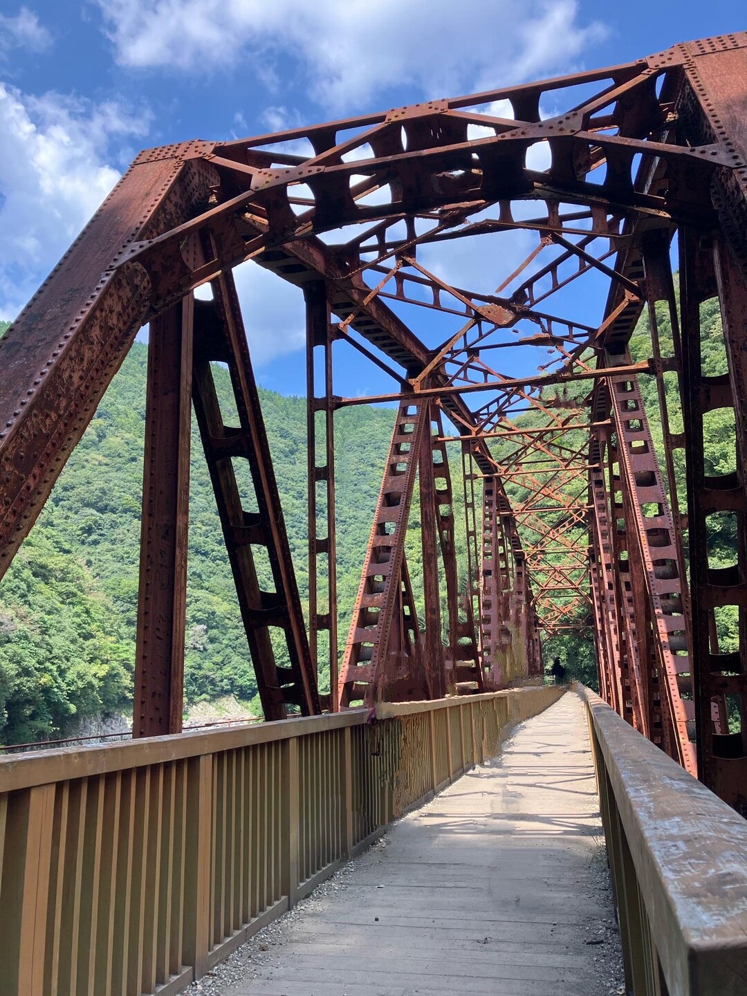 廃線敷ハイキング / ちい⭐︎さんの中山・大峰山の活動日記 | YAMAP / ヤマップ