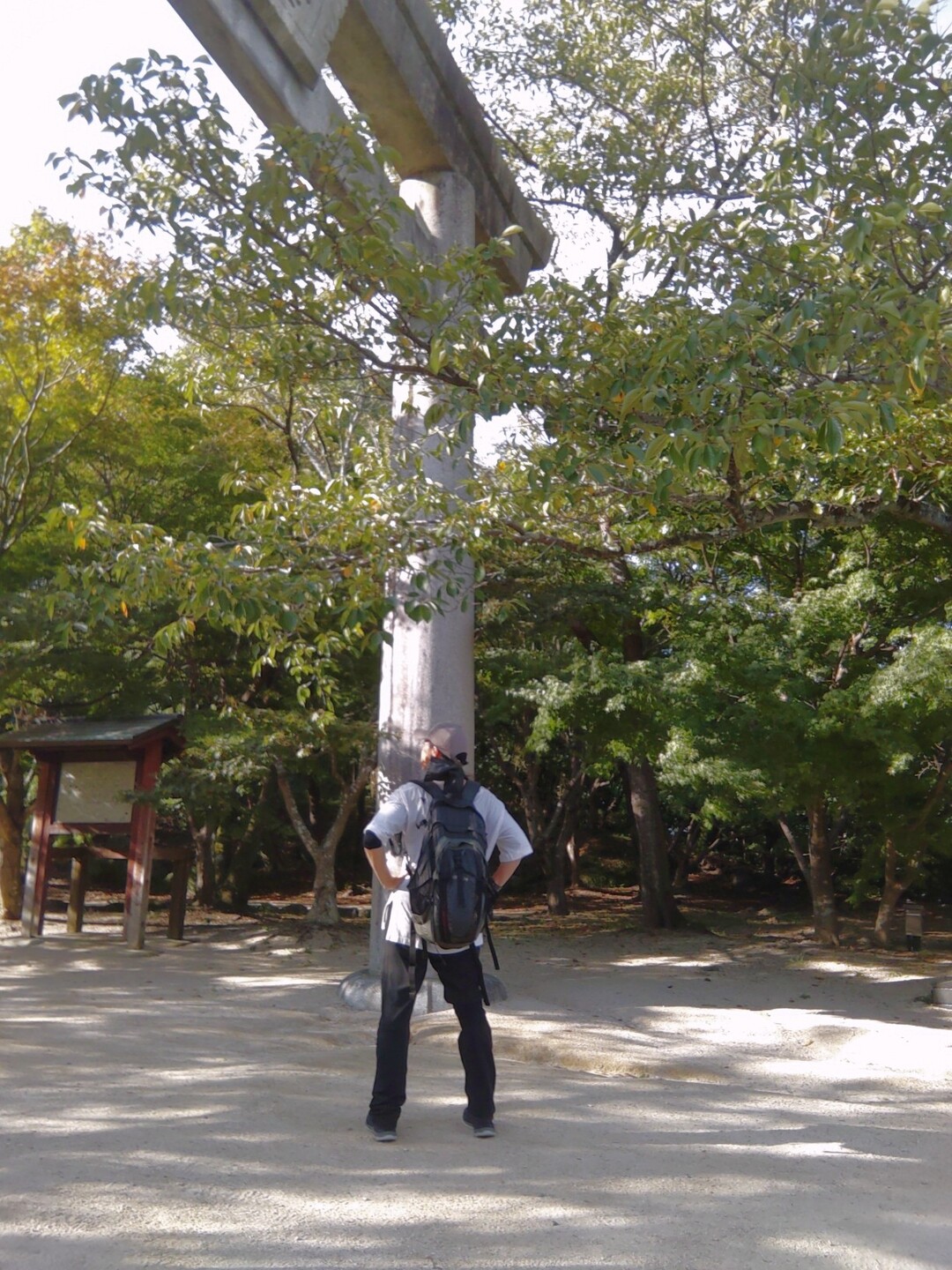 テレレレッテッテッテー♪ OKは 登山... / OKさんのモーメント | YAMAP / ヤマップ