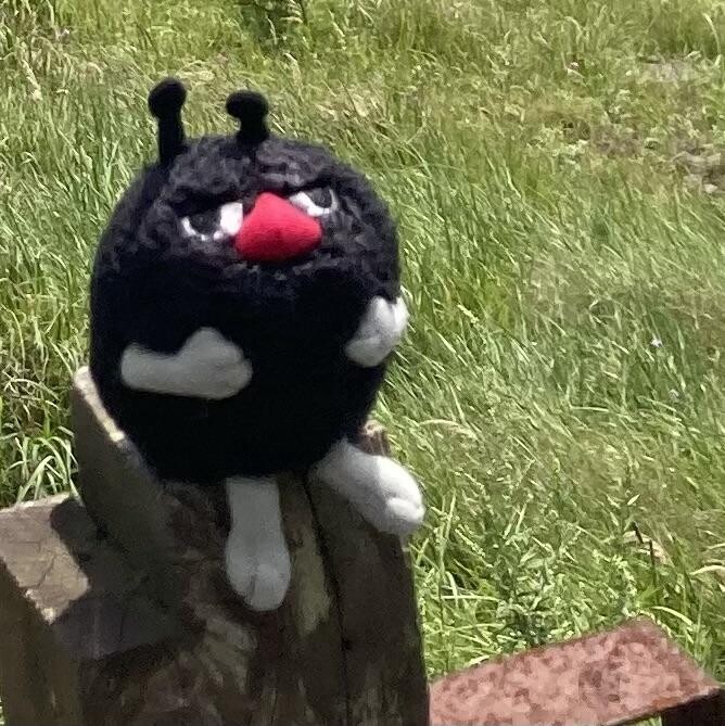 ZAKIPのページ | YAMAP / ヤマップ