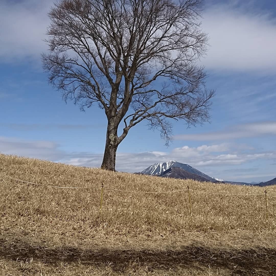 おっさんの好きな⛰️ 年何回も行く⛰️ ... / N-saruさんのモーメント | YAMAP / ヤマップ