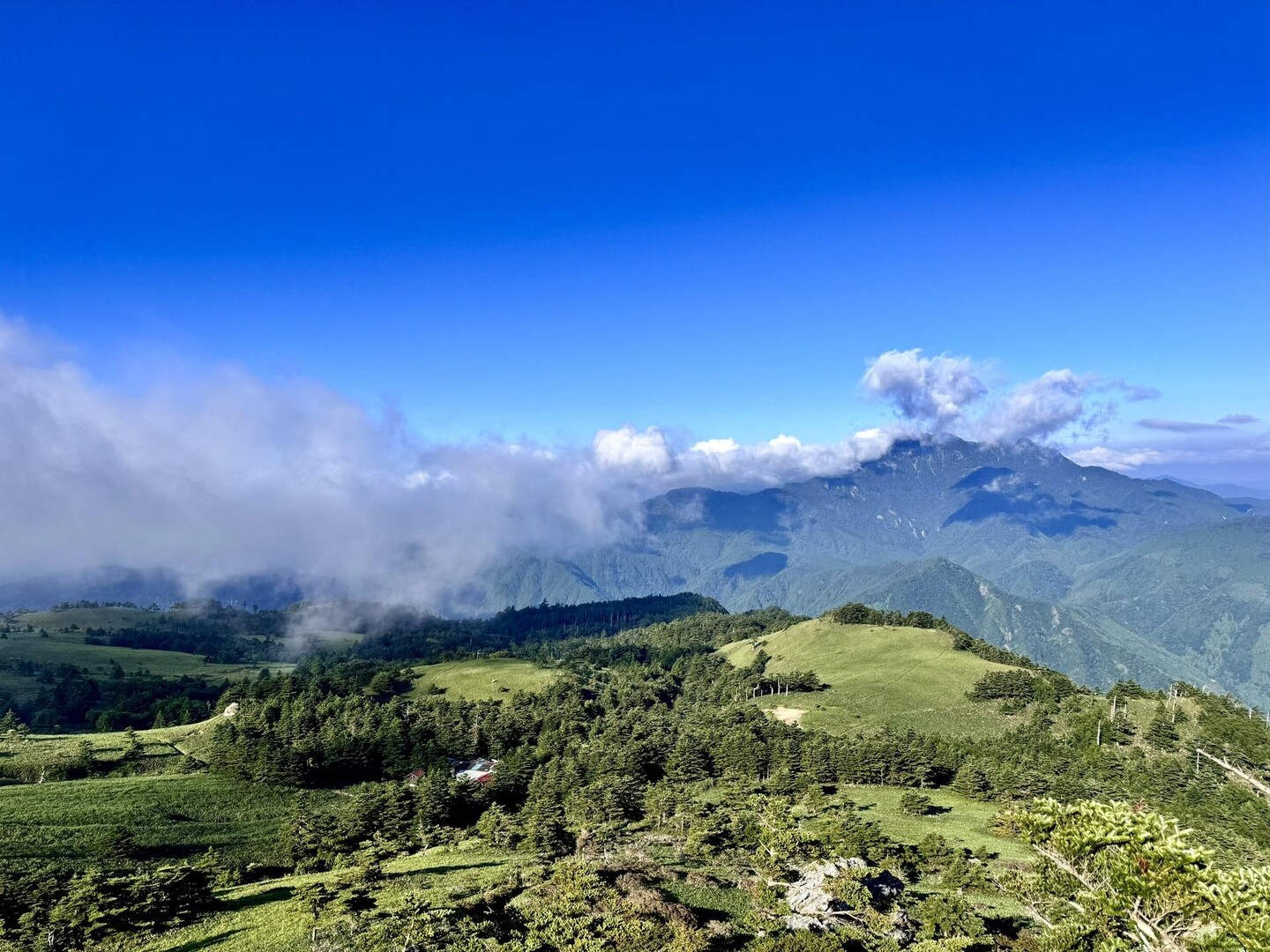 天空の庭園😊瓶ヶ森 四国遠征2 / たけのこ zi ziさんの瓶ヶ森・伊予富士の活動データ | YAMAP / ヤマップ