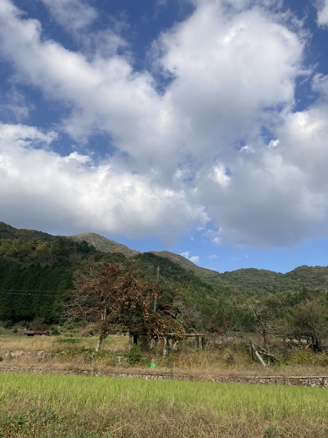 長門富士ー ⛰ / TGさんの十種ヶ峰の活動データ | YAMAP / ヤマップ