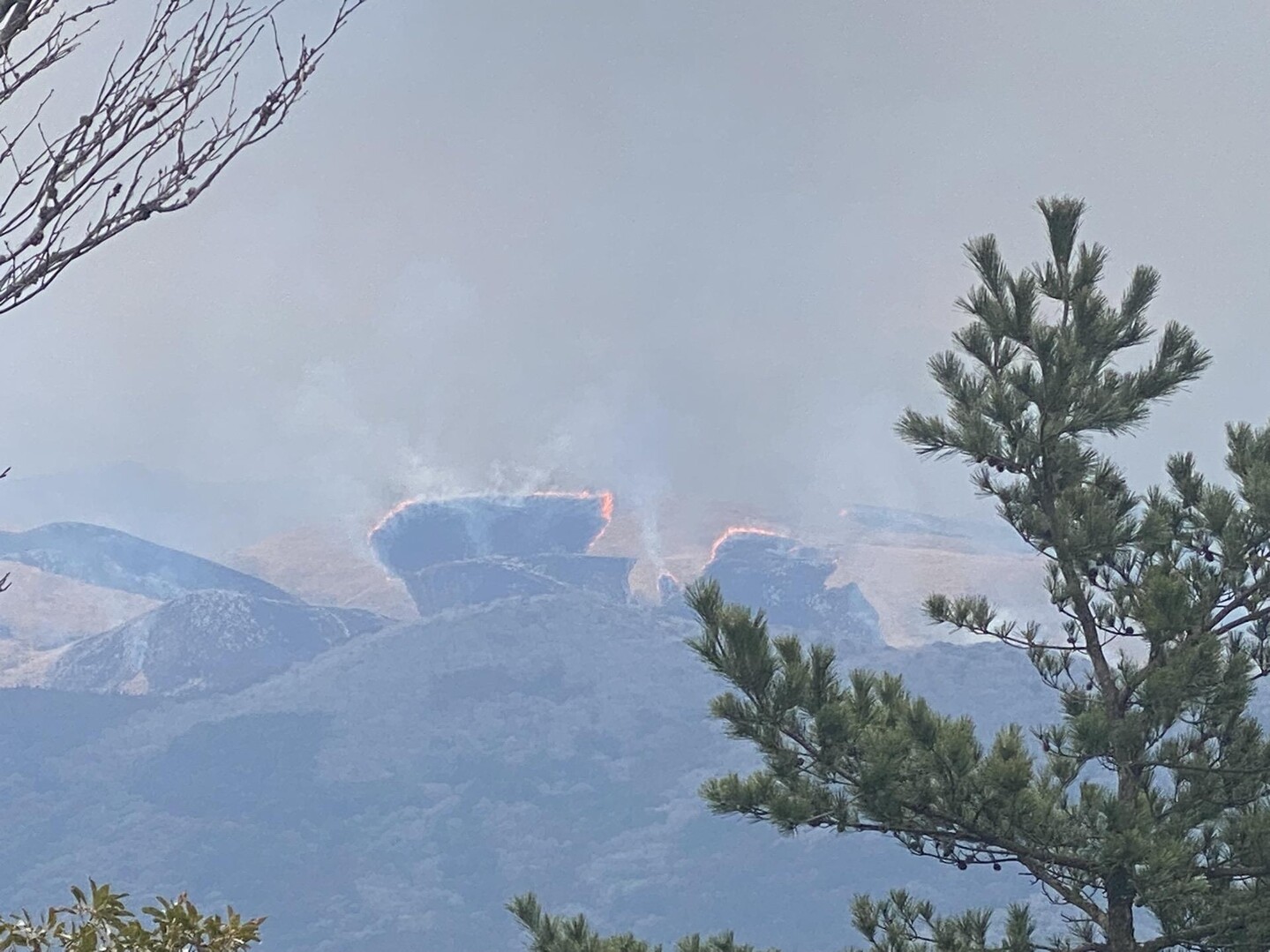 如意岳 / tatsuyaさんの桂木山の活動データ | YAMAP / ヤマップ