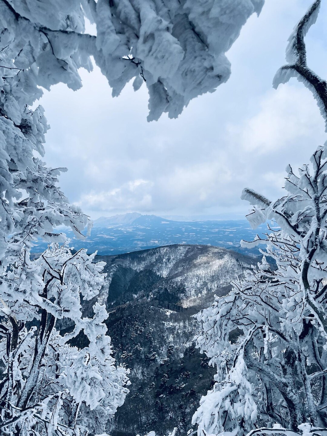 祖母山 / siopanさんの祖母山の活動データ | YAMAP / ヤマップ