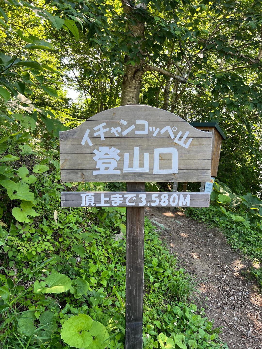 イチャンコッペ山 / cool-moonさんのイチャンコッペ山の活動データ | YAMAP / ヤマップ