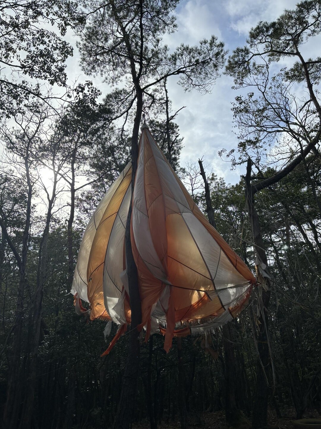 笠原富士・深山 / sho-zzzさんの笠原富士・深山の活動データ | YAMAP / ヤマップ