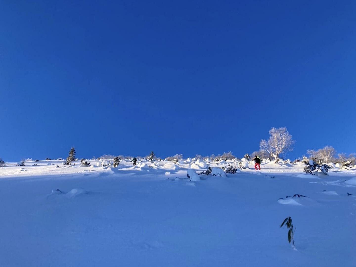 日勝ピーク・沙流岳 2025-01-11 / やっくさんのGT3 7の活動データ | YAMAP / ヤマップ