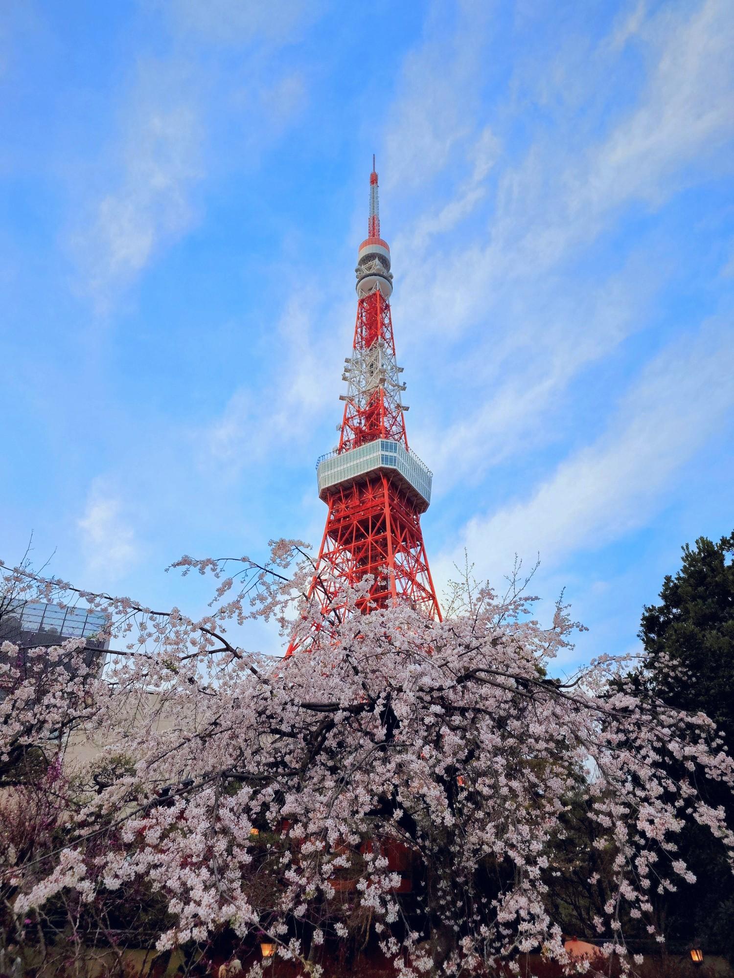 昨日はよく晴れていたのに... 今日は無... / 🍹ﾌﾞﾗｯﾄﾞｵﾚﾝｼﾞ🍹𝓑𝓵𝓸𝓸𝓭 𝓞𝓻𝓪𝓷𝓰𝓮 さんのモーメント | YAMAP / ヤマップ