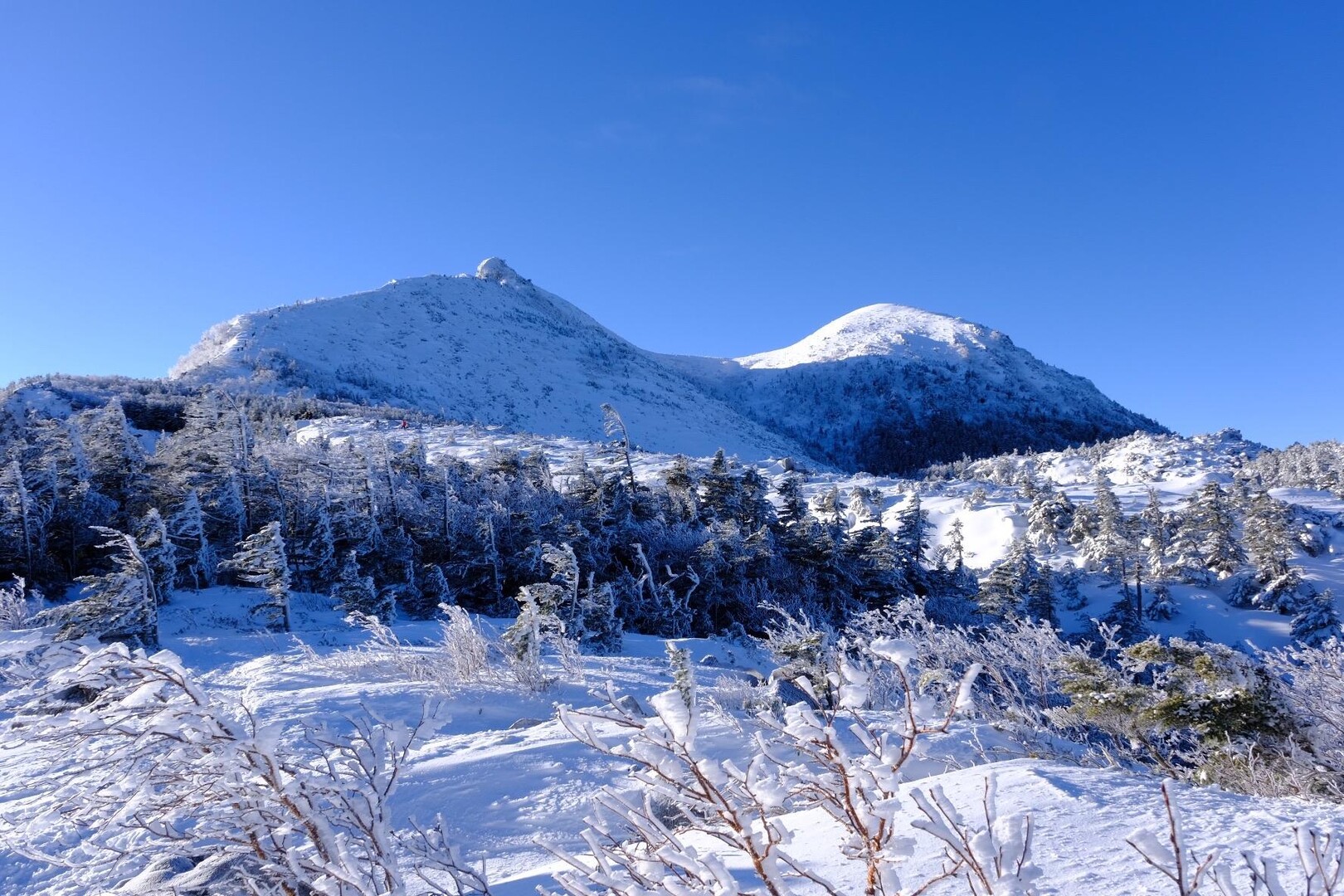 東天狗岳・天狗岳（西天狗岳） / Masa.Rさんの八ヶ岳（赤岳・硫黄岳・天狗岳）の活動日記 | YAMAP / ヤマップ