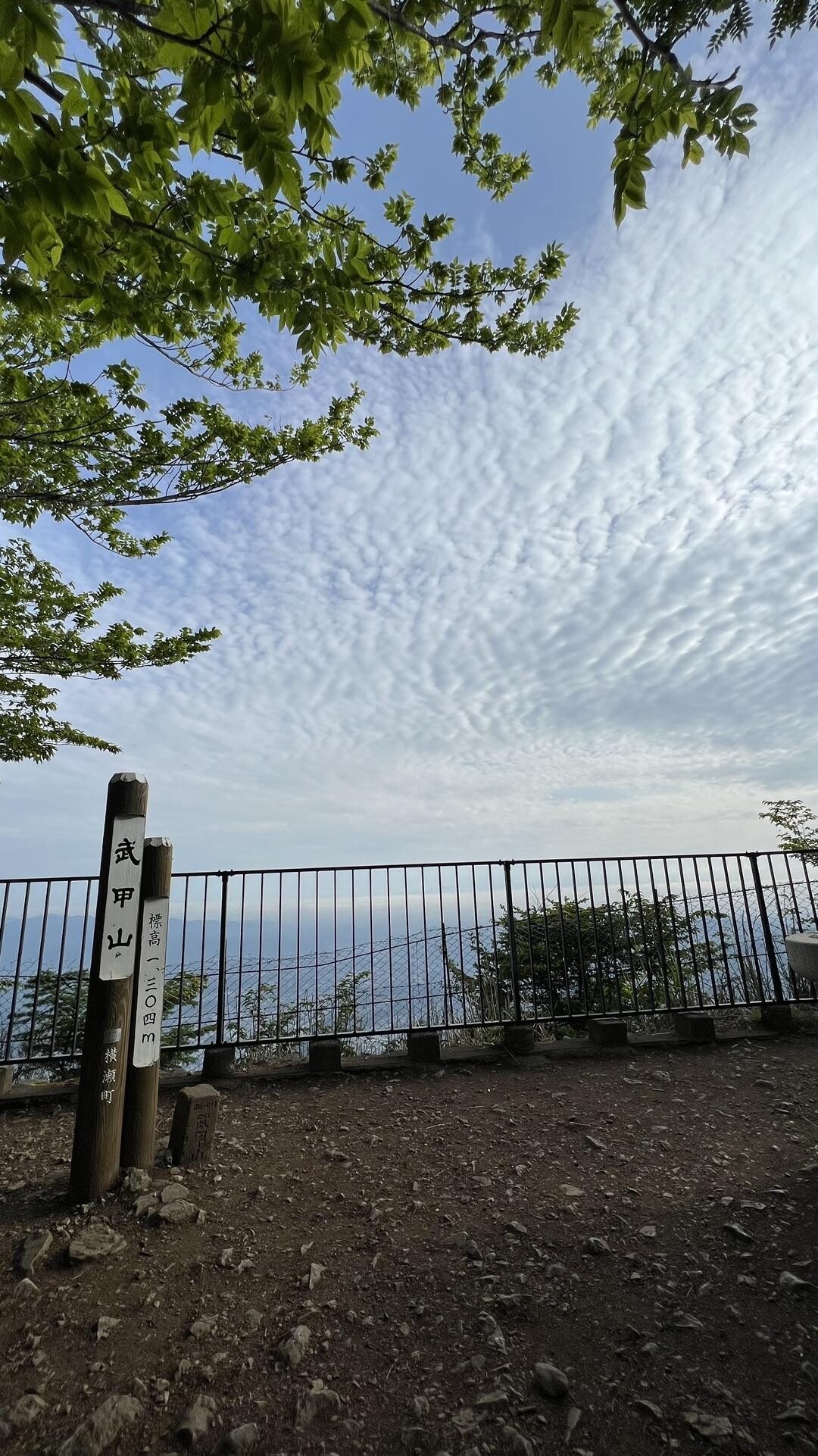 2023.5.28.武甲山・小持山・大持山 / yuumin222.さんの武甲山・伊豆ヶ岳・小持山の活動データ | YAMAP / ヤマップ