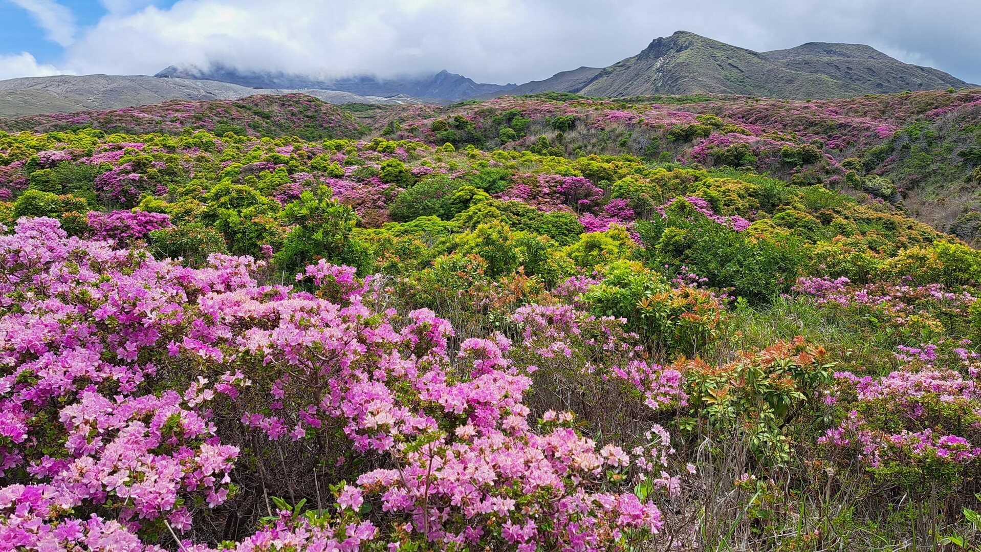 烏帽子岳・杵島岳 / katu3さんの阿蘇山・高岳・根子岳の活動データ | YAMAP / ヤマップ