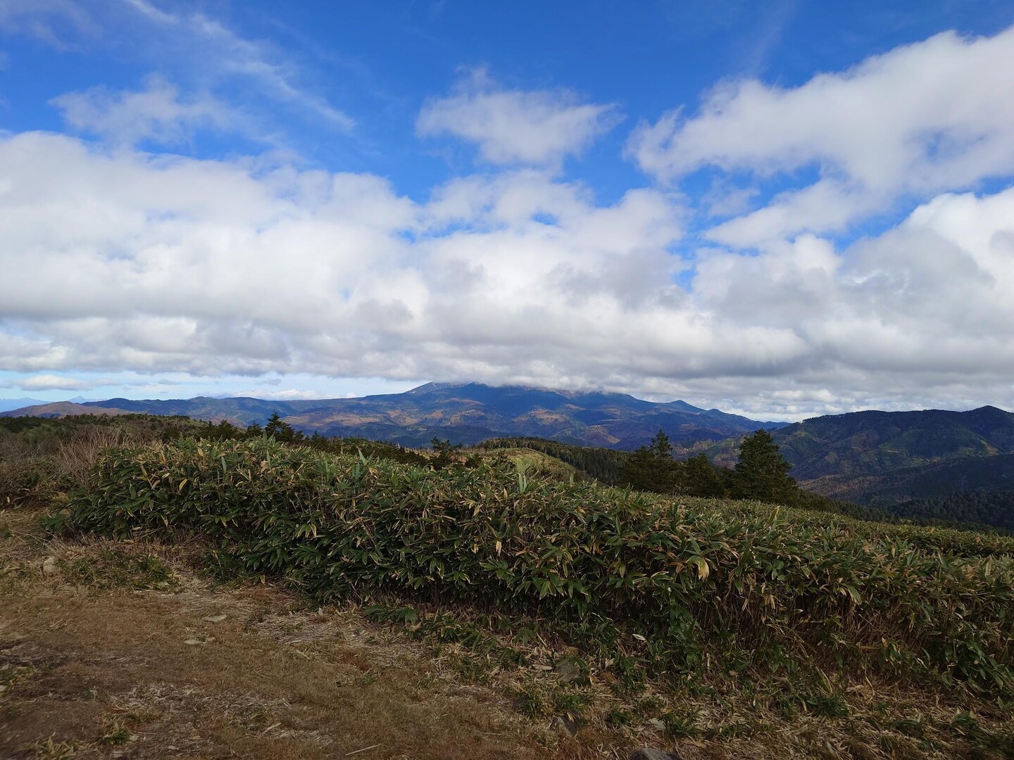 白草山 / isoさんの白草山・寺田小屋山の活動データ | YAMAP / ヤマップ