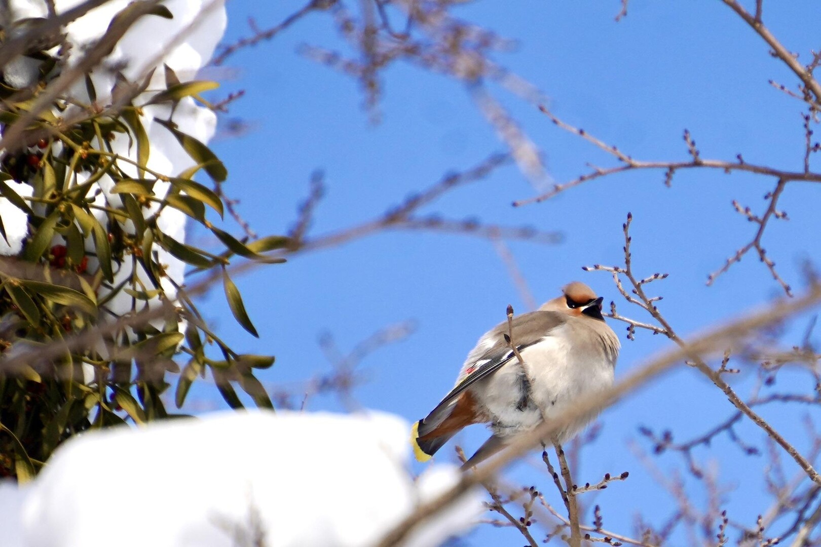 1月15日(月) 久々の青空🥰 でも ... / yosi＆ryoさんのモーメント | YAMAP / ヤマップ