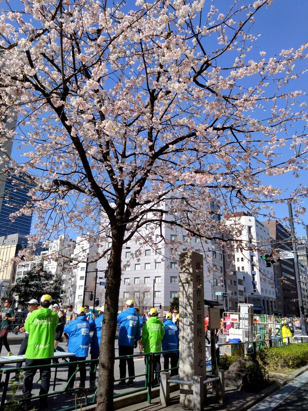 3月3日(日)☀ 「東京マラソン」給水ボ... / nanakoさんのモーメント | YAMAP / ヤマップ