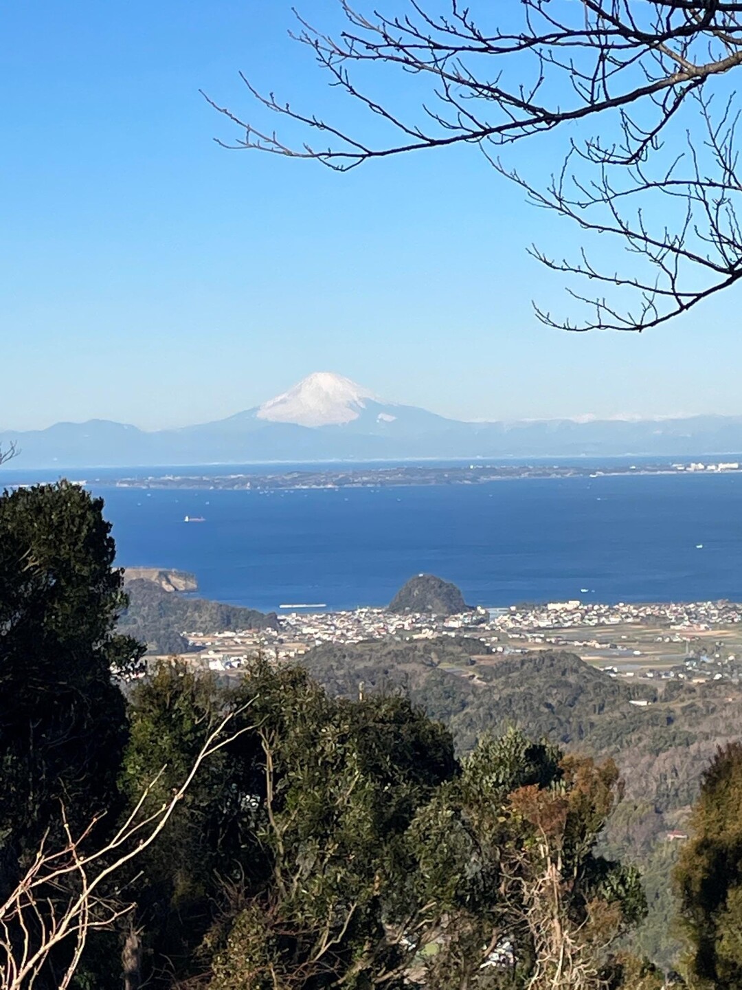 富山(南峰, 観音峰)・富山(北峰, 金毘羅峰) / oyanさんの伊予ヶ岳・人骨山・津森山の活動日記 | YAMAP / ヤマップ