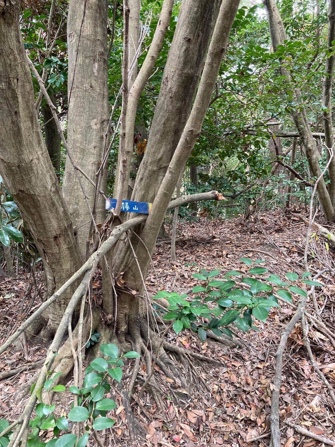 Toshio さんの投稿したフィールドメモ | YAMAP / ヤマップ