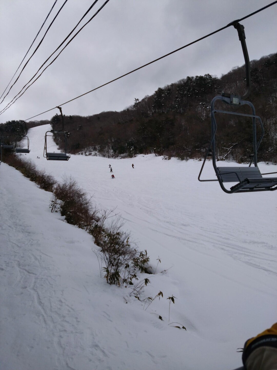 道後山⛷️-2025-02-02 / maruさんの道後山・岩樋山の活動データ | YAMAP / ヤマップ