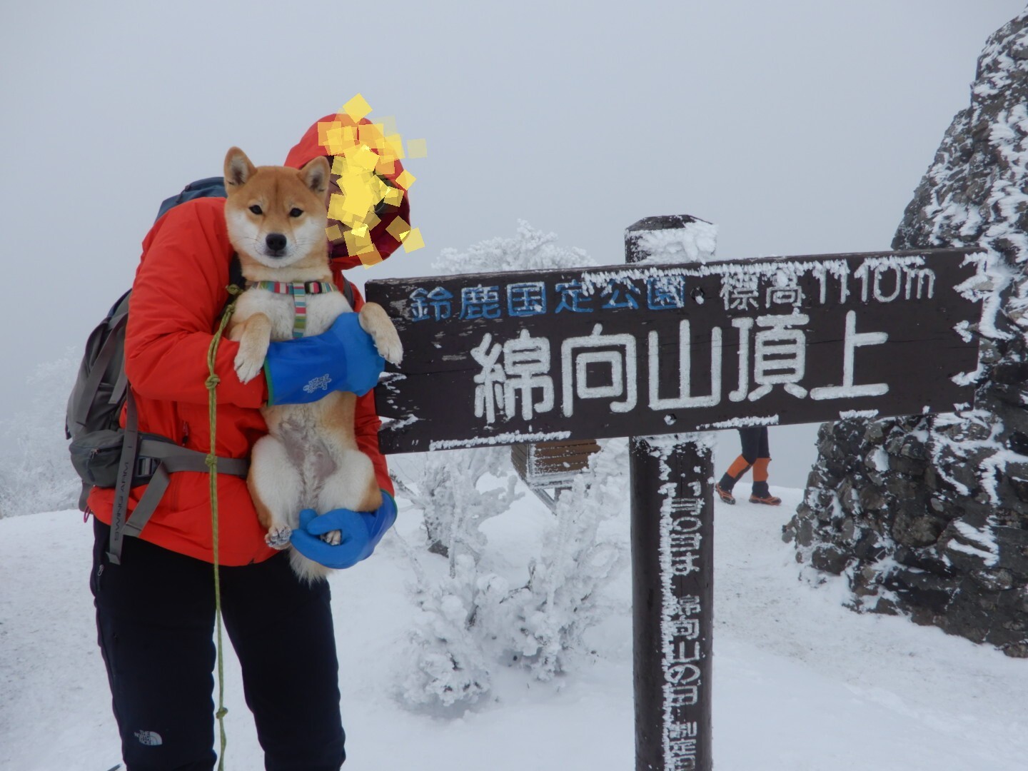 ちょっと散歩に綿向山 / damens 只今活動お休み中、すみませんさんの綿向山の活動データ | YAMAP / ヤマップ