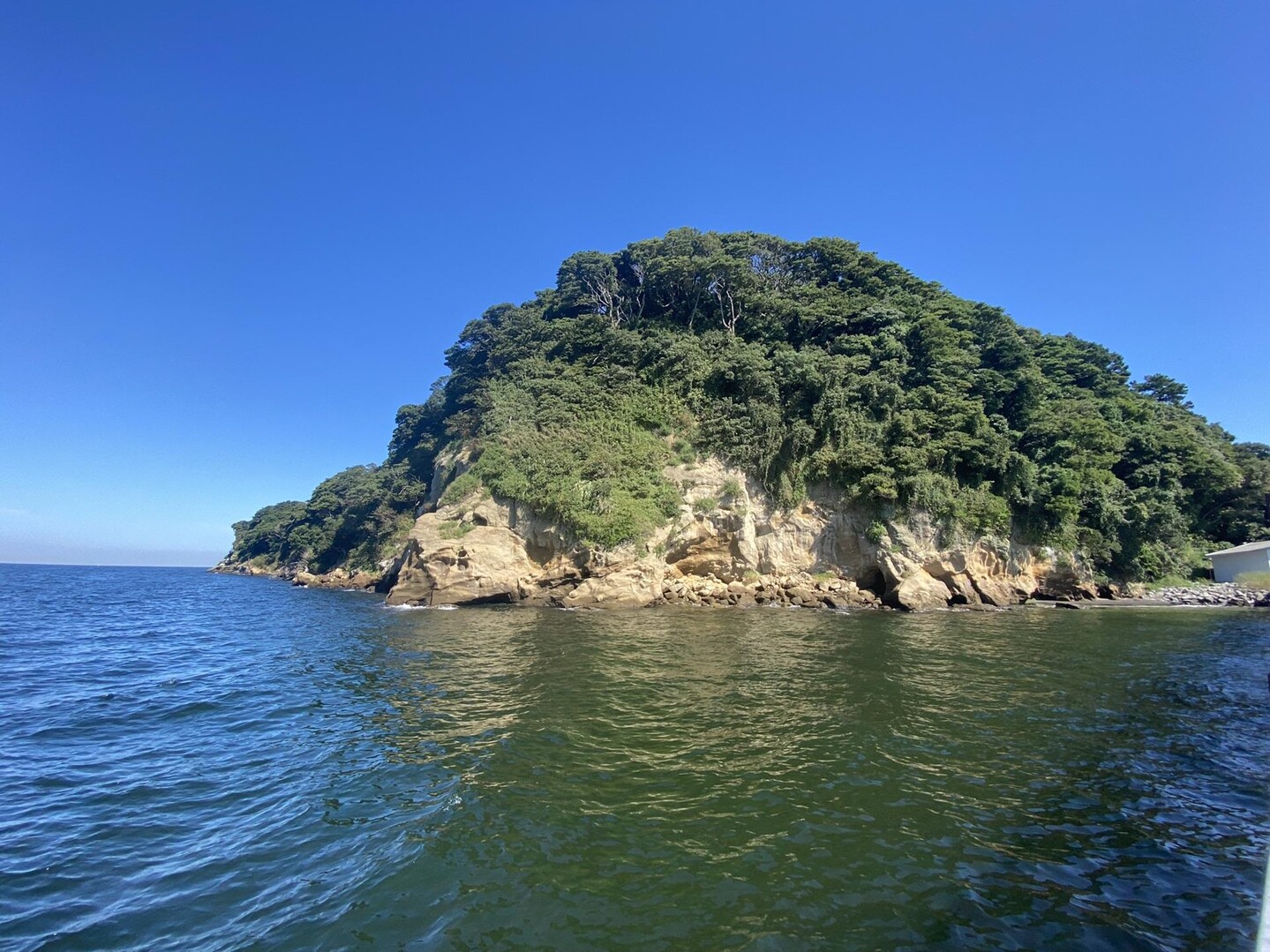 猿島ウォーキング / Funさんのウォーキングの活動データ | YAMAP / ヤマップ