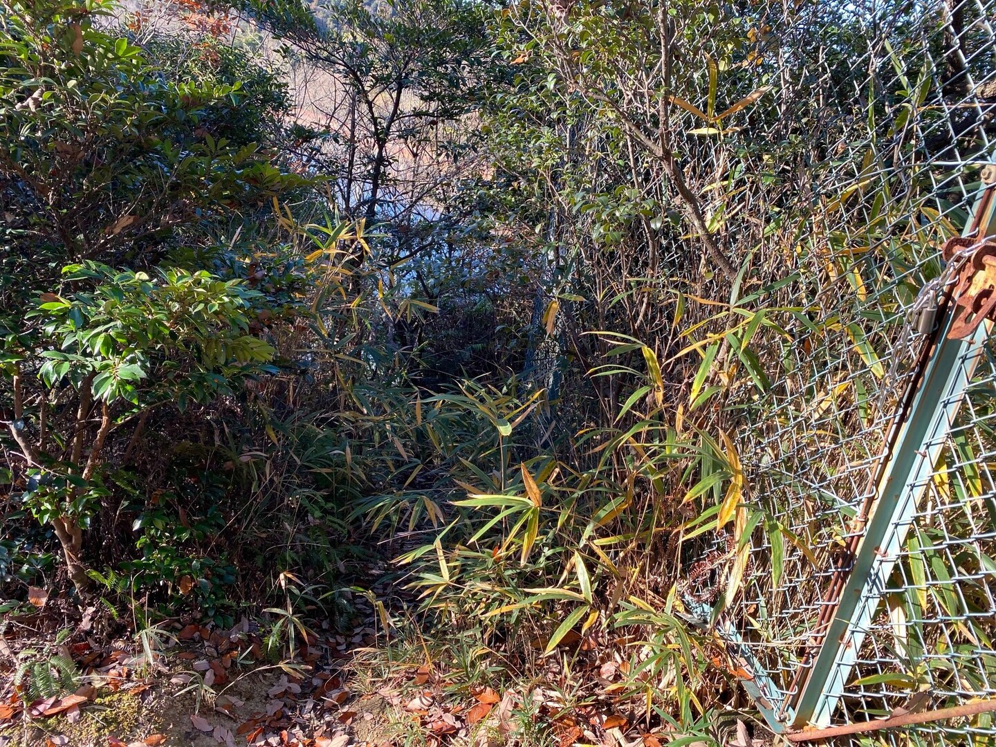 yousan⛰さんの投稿したフィールドメモ | YAMAP / ヤマップ