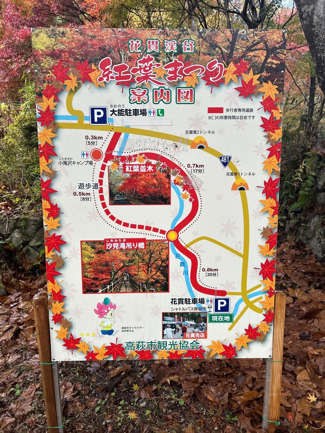 花貫渓谷-2023-11-18 / NAKAさんの土岳・花貫渓谷・竪破山の活動データ | YAMAP / ヤマップ