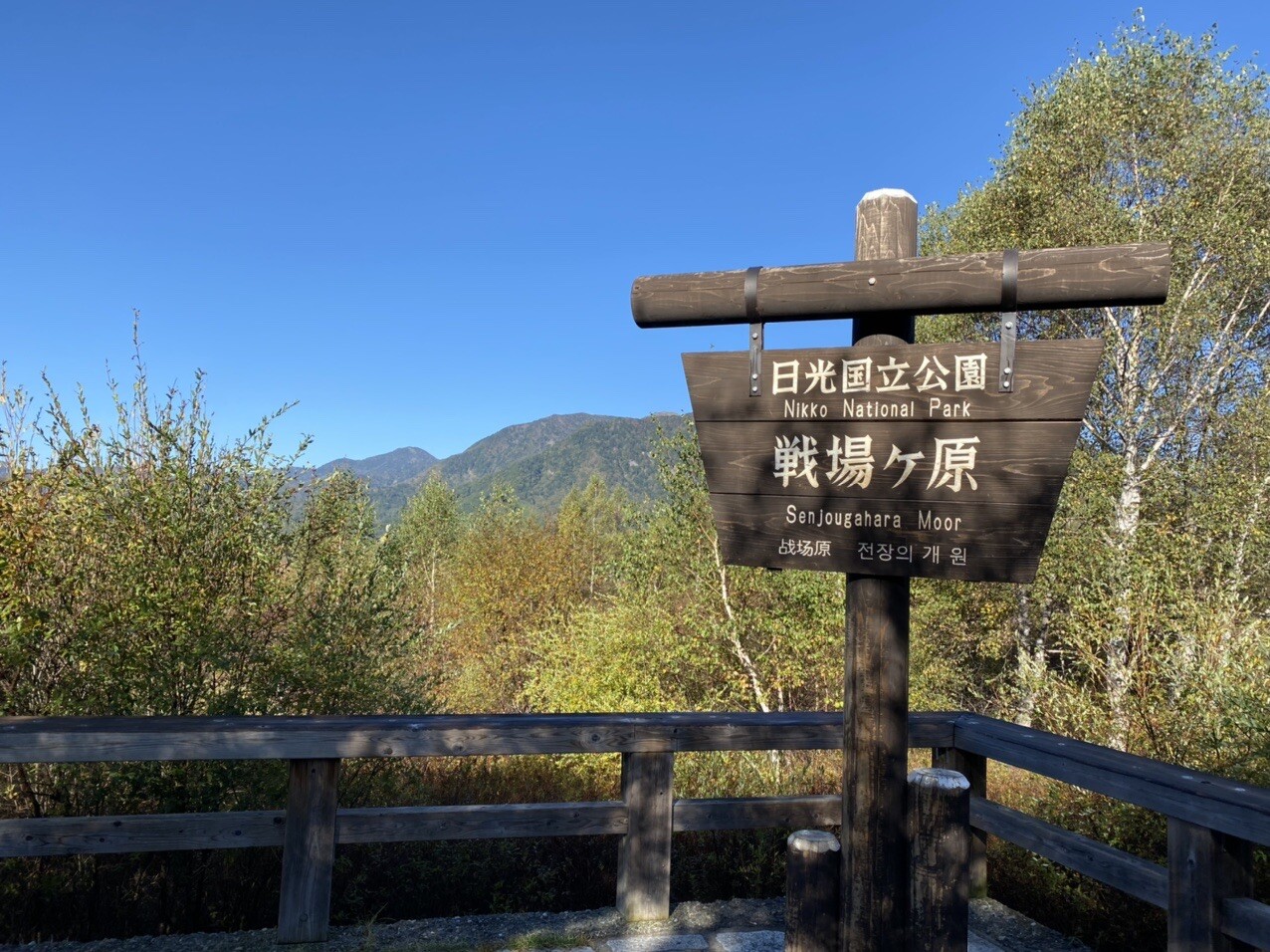 戦場ヶ原 / Zakiさんの社山・半月山の活動データ | YAMAP / ヤマップ