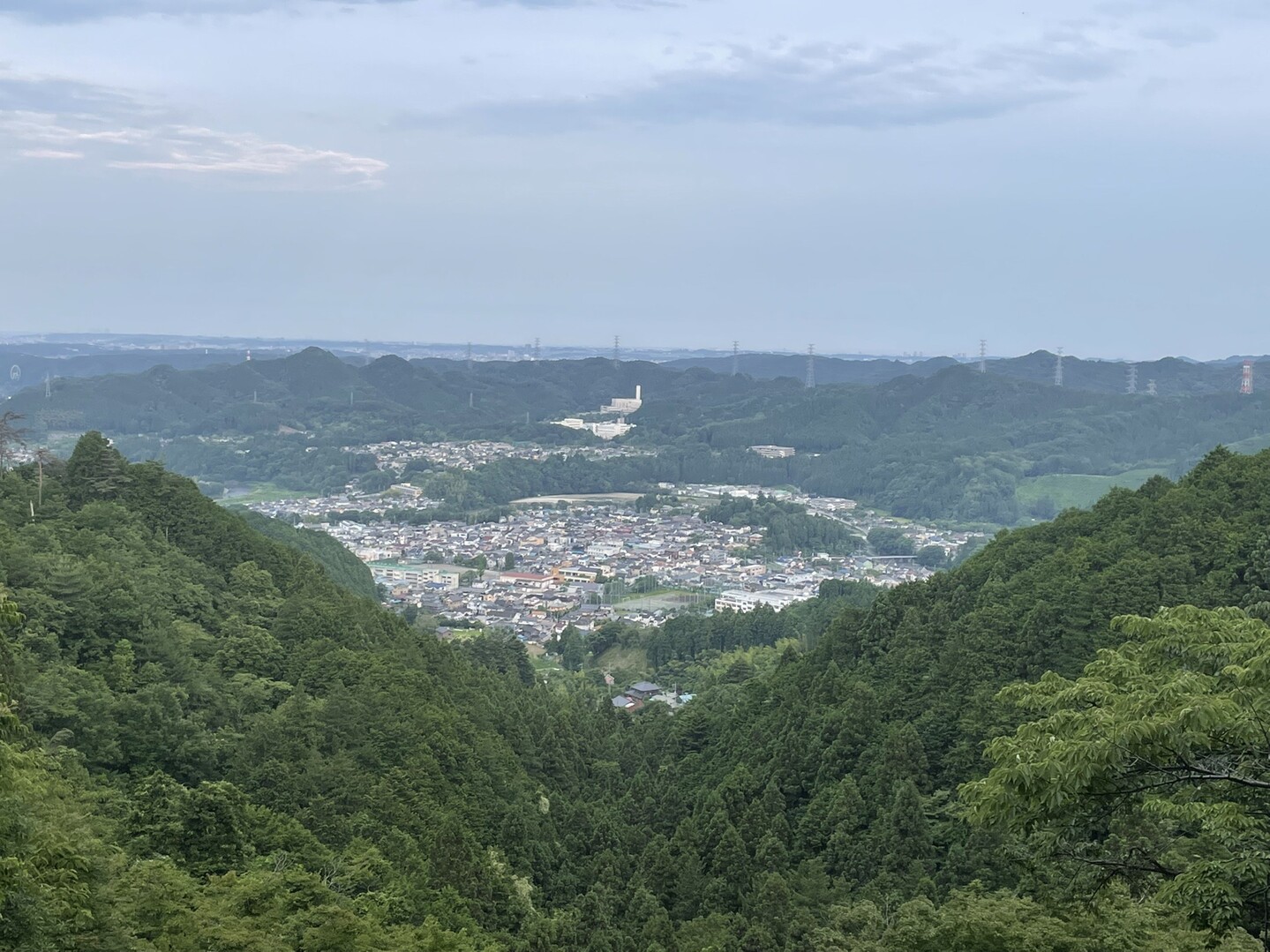 【熊に遭遇‼︎奥多摩縦走（後半）】都民の森〜三頭山〜御前山〜大岳山〜御嶽山〜日の出山〜武蔵五日市駅 三頭山・槇寄山・土俵岳の写真45枚目