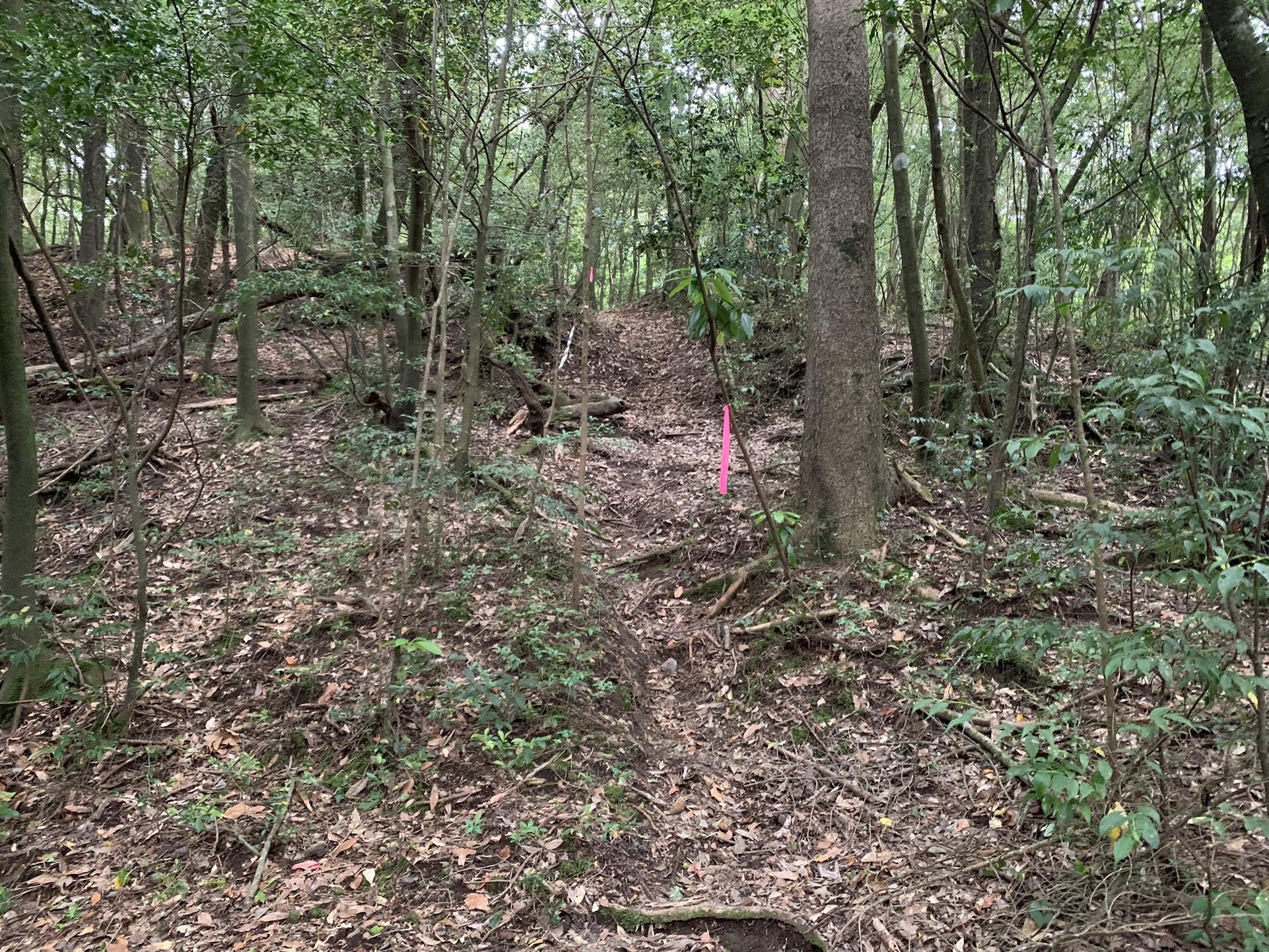 TANAKAさんの投稿したフィールドメモ | YAMAP / ヤマップ