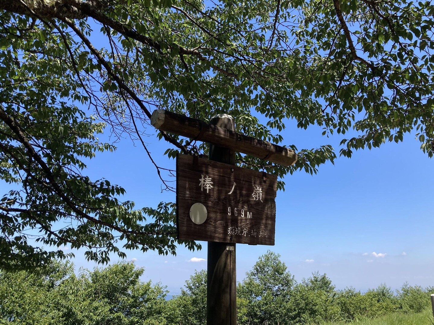 棒ノ嶺（棒ノ折山）、3回目は5人で / plasmonさんの棒ノ折山（棒ノ嶺）の活動データ | YAMAP / ヤマップ