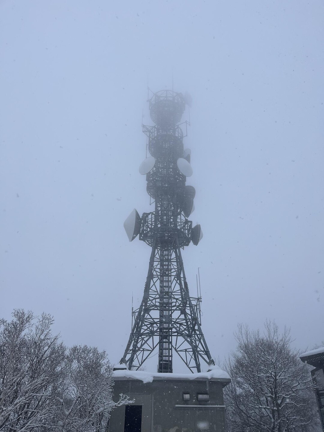 藻岩山 2025.2.02 曇り、雪⛄️ / mappyさんの藻岩山の活動データ | YAMAP / ヤマップ