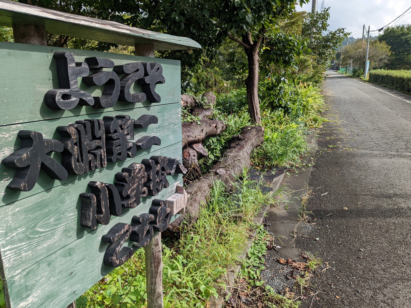 富士山麓オウム鳴く / 富士山登山ルート3776 1日目コースの写真60枚目 | YAMAP / ヤマップ