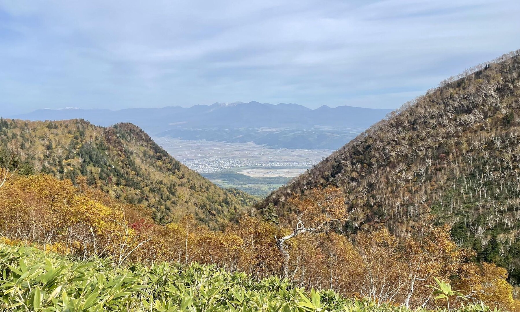 富良野の旅Part②【北ノ峰・富良野西岳】 / Boo！さんの十勝岳・富良野岳・美瑛岳の活動データ | YAMAP / ヤマップ