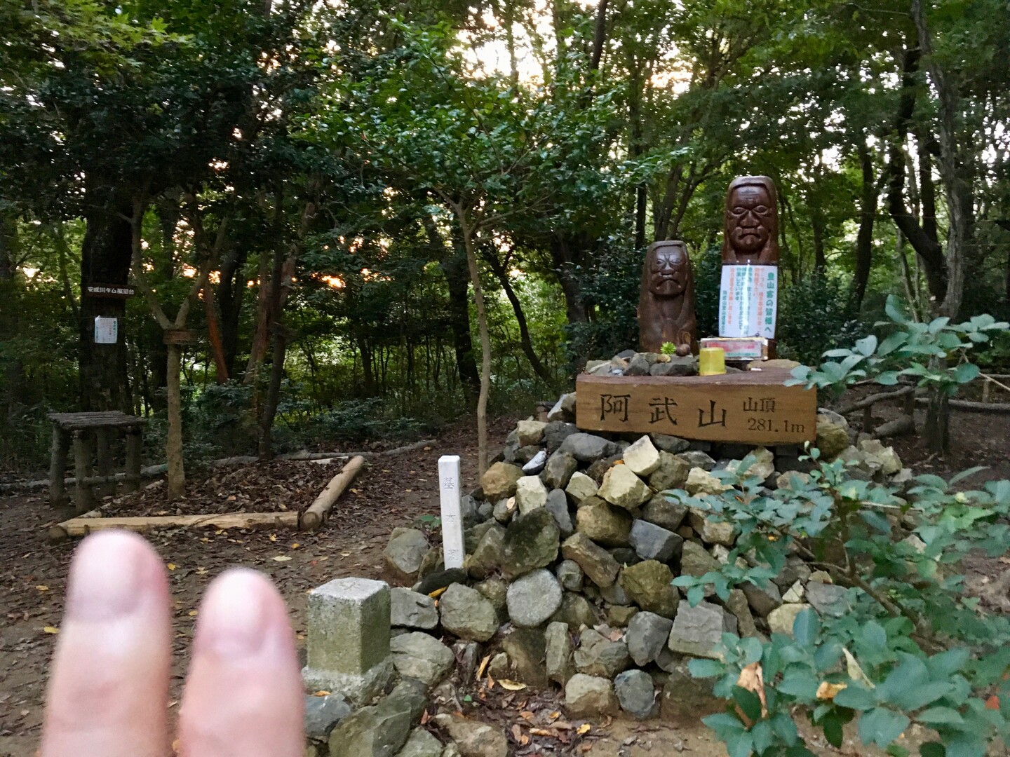 山トレで阿武山ダブル / ミカン de mikanさんの竜王山・阿武山の活動データ | YAMAP / ヤマップ