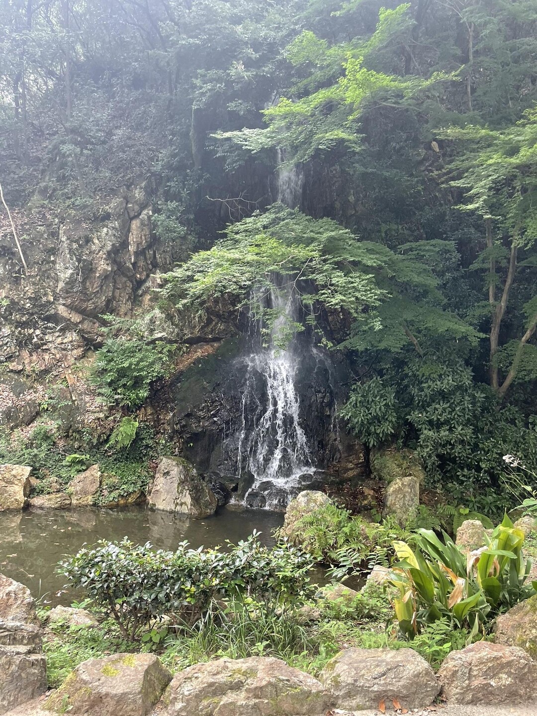 金華山・洞山・舟伏山-2024-08-19 / ATSUSHI HIGUCHIさんの金華山・洞山・舟伏山の活動データ | YAMAP / ヤマップ