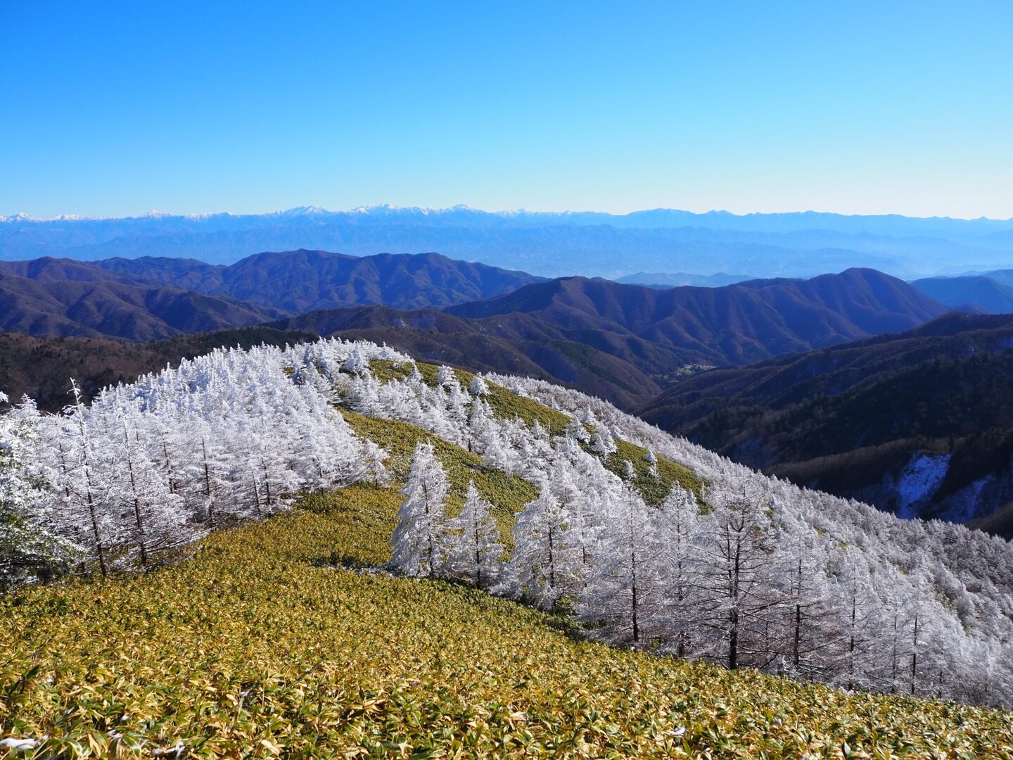 南沢山・横川山（湯舟沢山） / mu ☾ ໋꙳さんの恵那山・大判山・神坂山の活動データ | YAMAP / ヤマップ