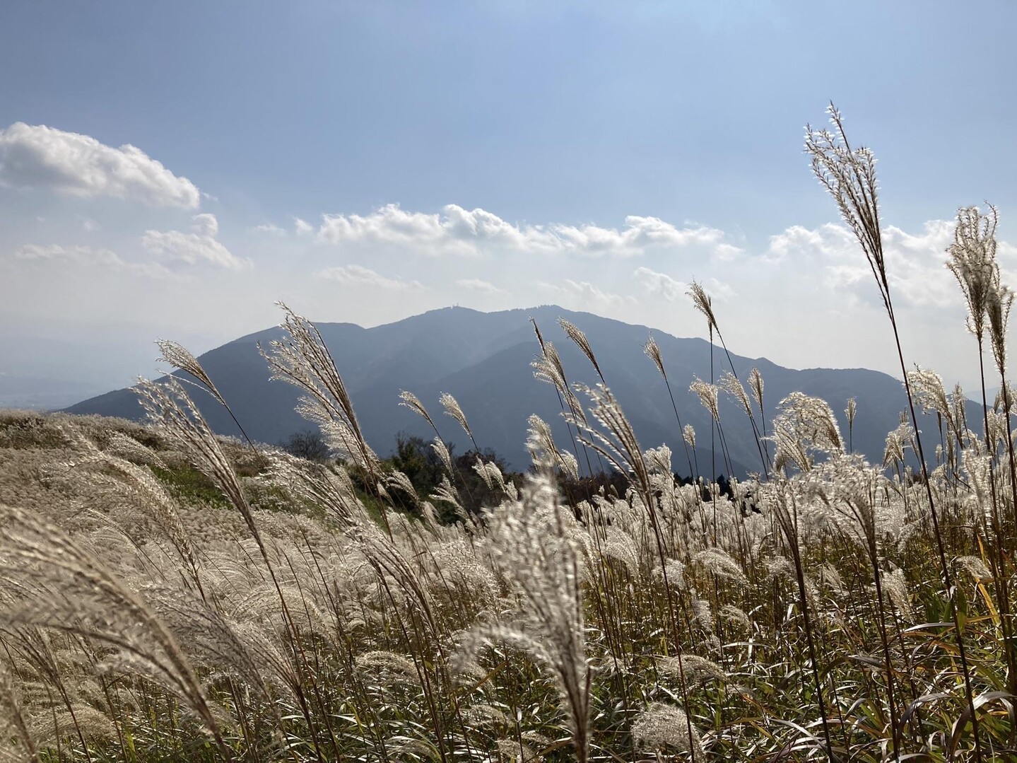 大和葛城山 / てくてく☺︎さんの金剛山・二上山・大和葛城山の活動データ | YAMAP / ヤマップ