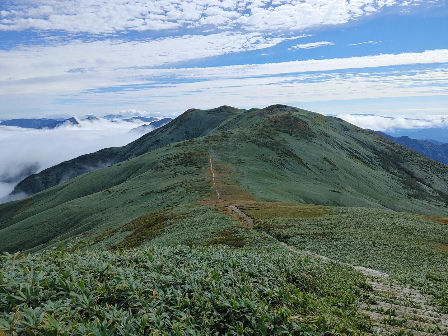 平標山・仙ノ倉山 / masashiさんの仙ノ倉山・平標山・大源太山の活動データ | YAMAP / ヤマップ
