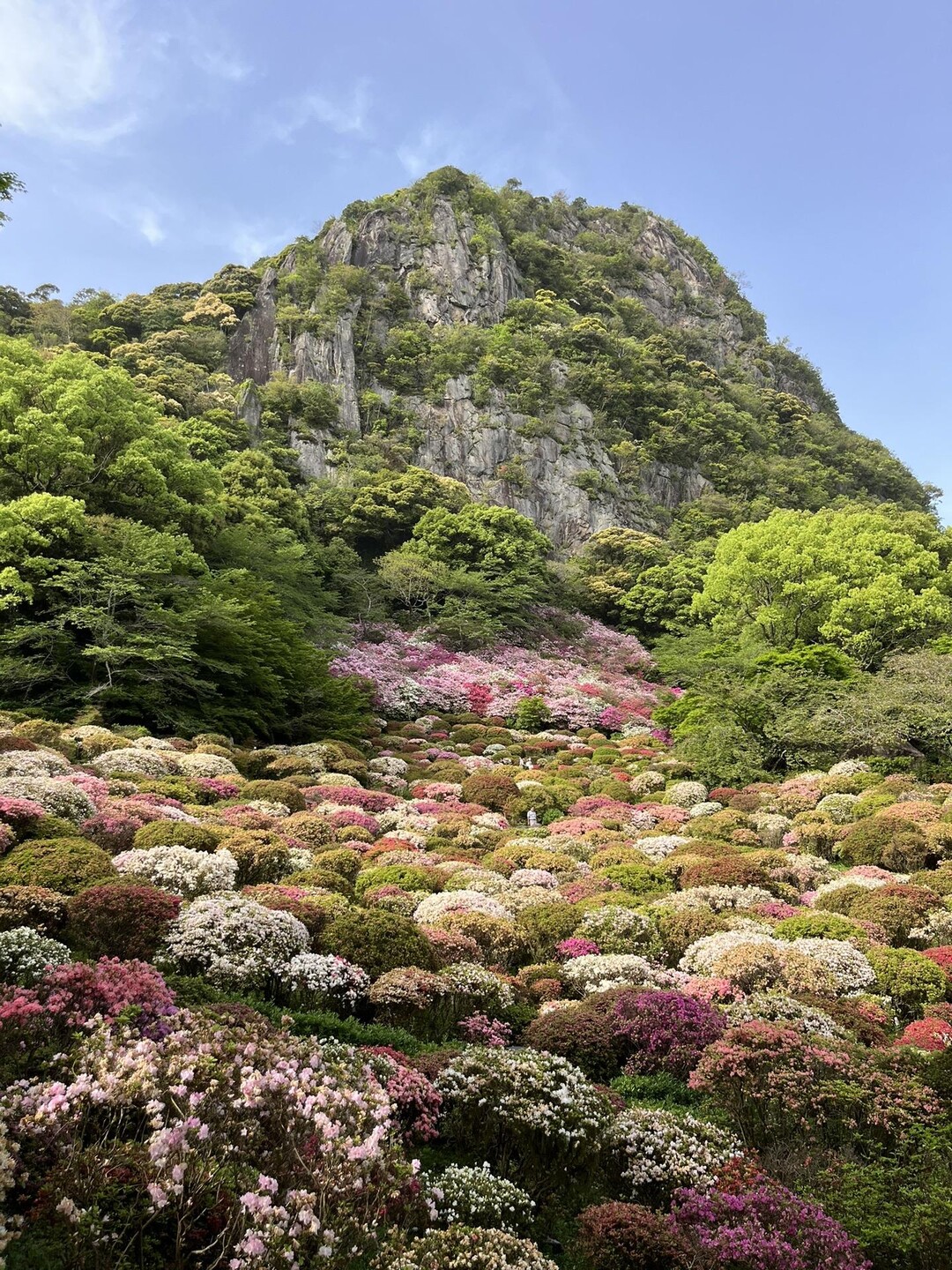 御船山 / MICKIさんの御船山の活動データ | YAMAP / ヤマップ