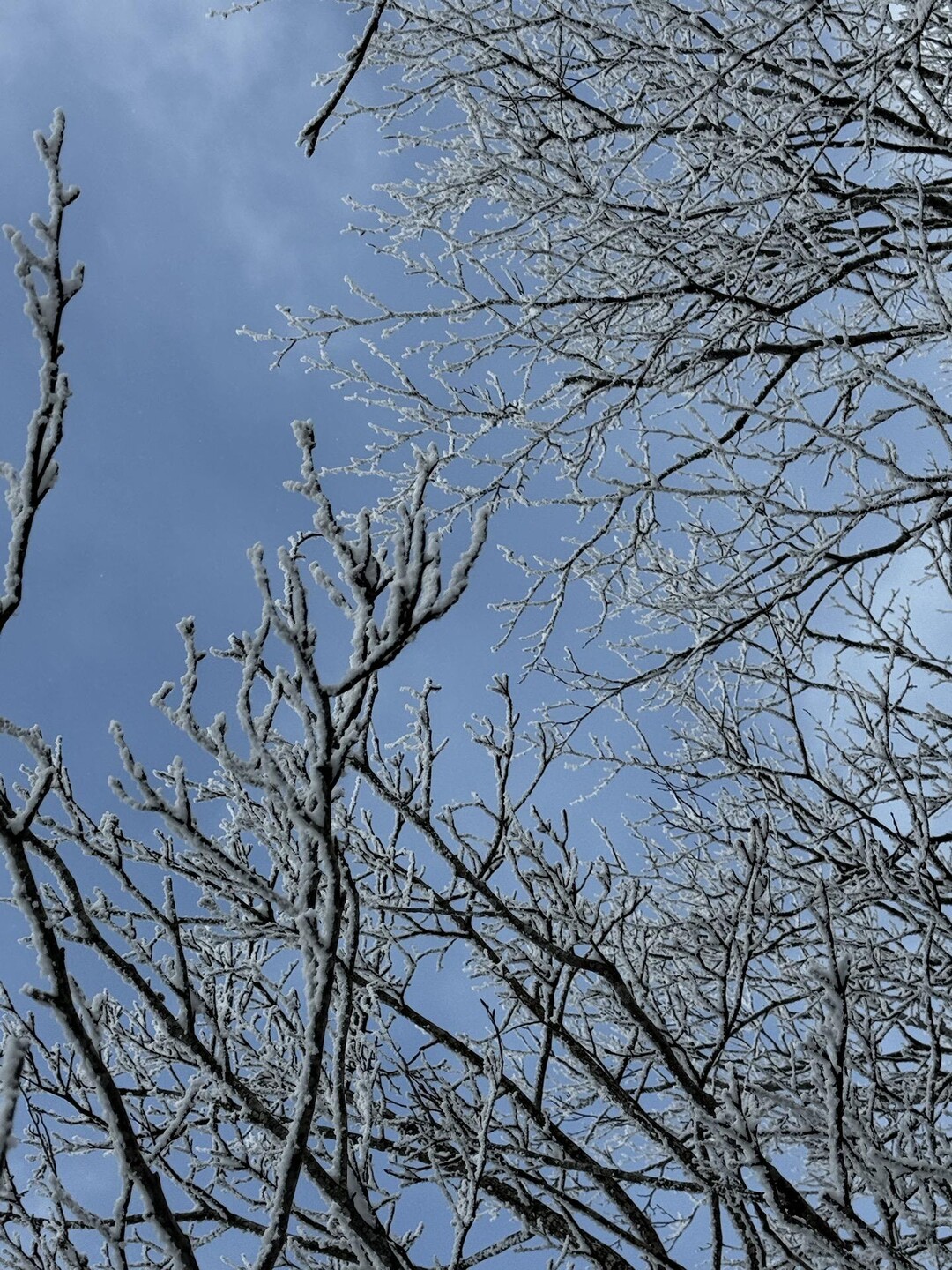 猿ヶ鼻・甲子山 / chi-zuさんの茶臼岳（那須岳）・三本槍岳・赤面山の活動データ | YAMAP / ヤマップ