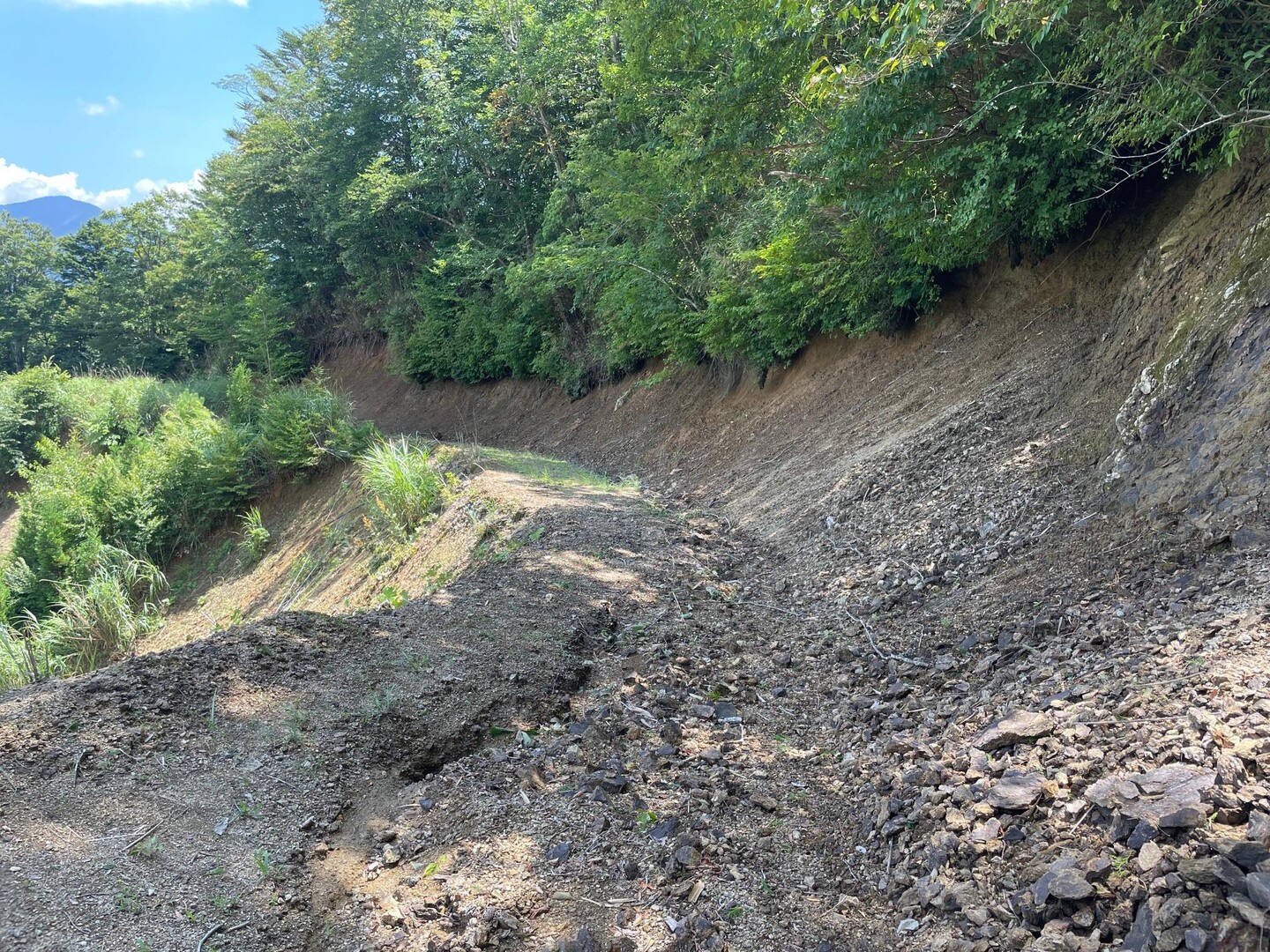 Nockyさんの投稿したフィールドメモ | YAMAP / ヤマップ